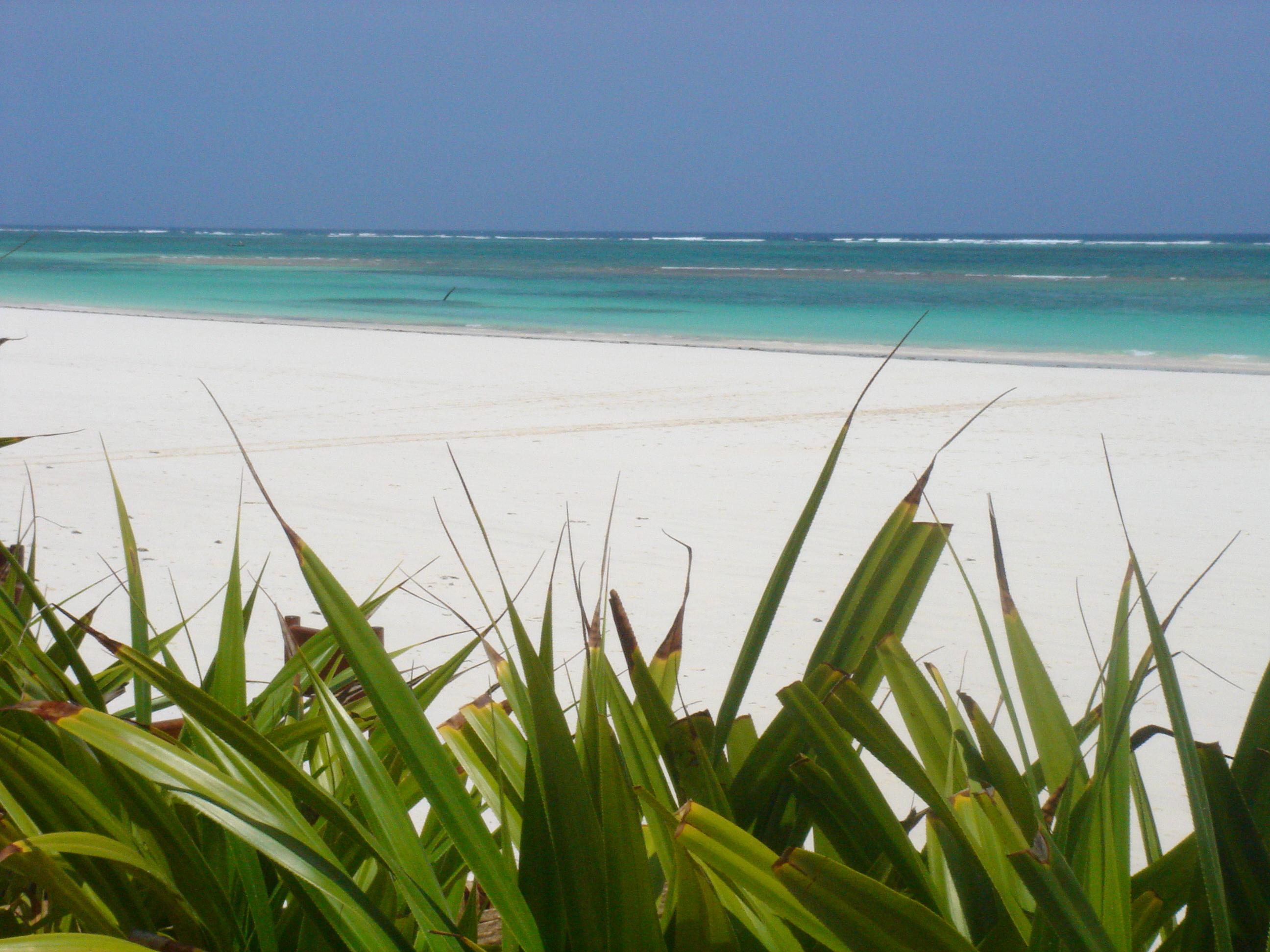 Diani Beach - Basecamp Explorer