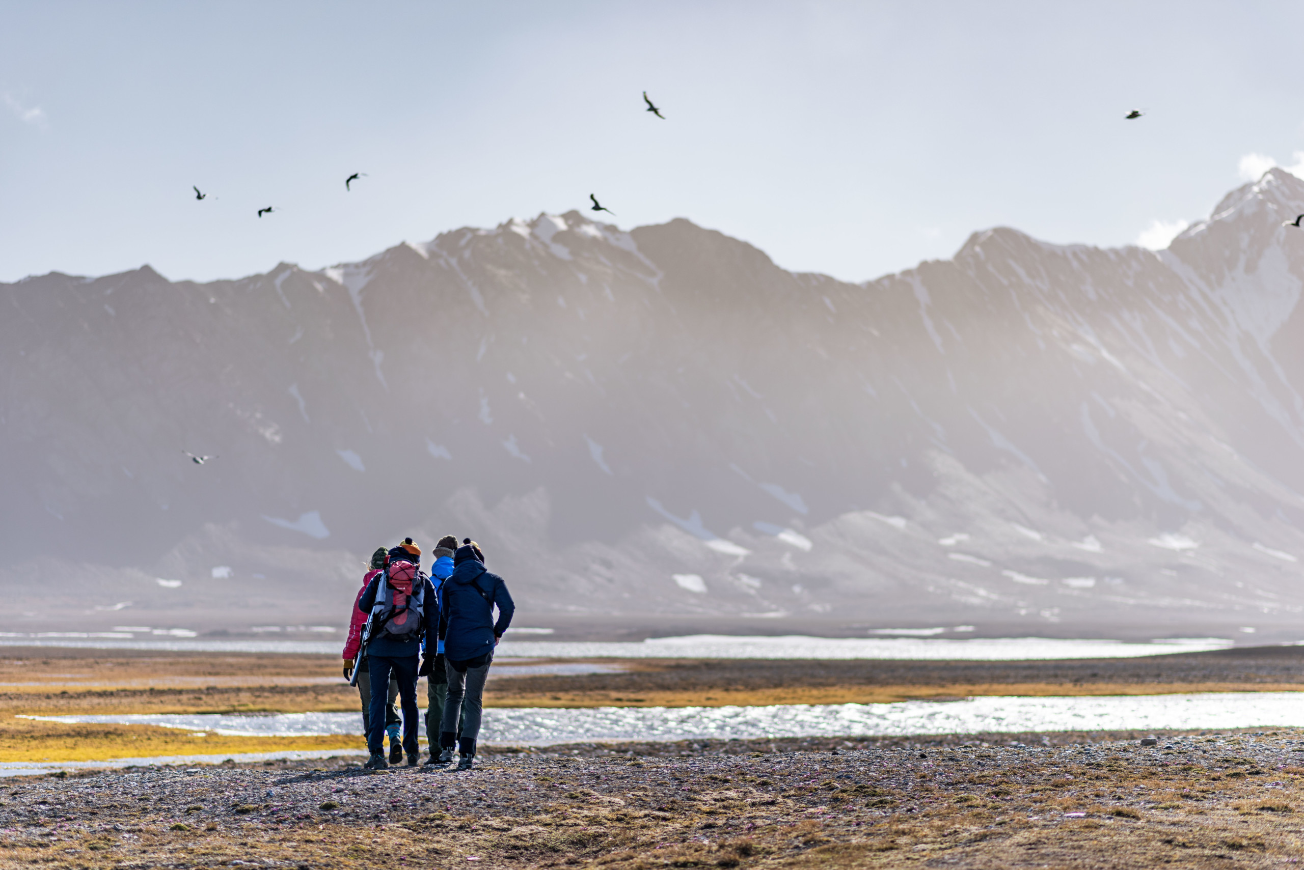 Summer day trips in Longyearbyen - Basecamp Explorer